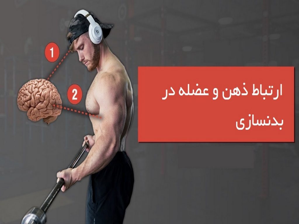 ارتباط عصب و عضله در بدنسازی افزایش حجم عضلات با تمرکز ذهنی در تمرین